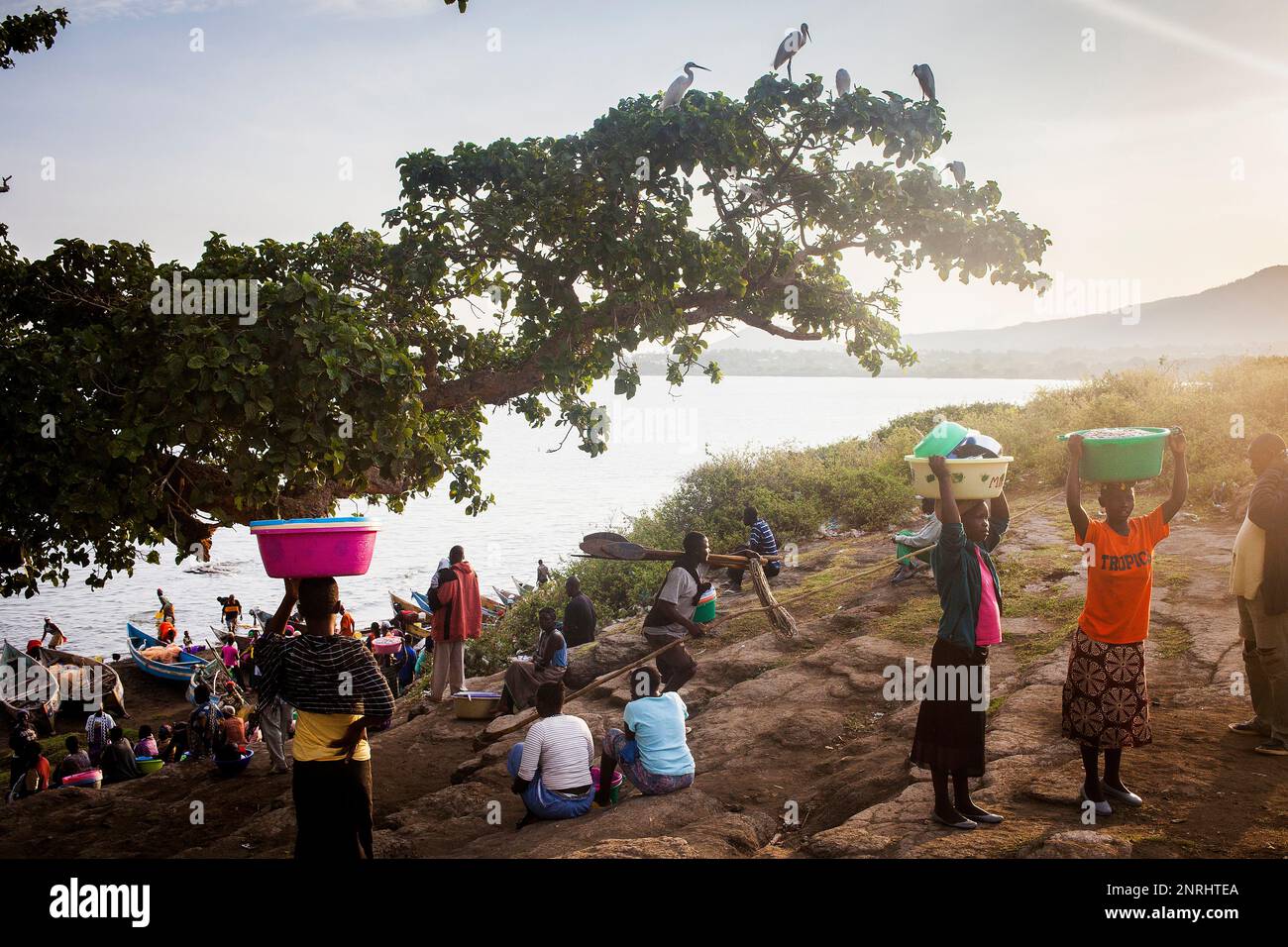 Rusinga Island, Lake Victoria, Kenya Stock Photo - Alamy
