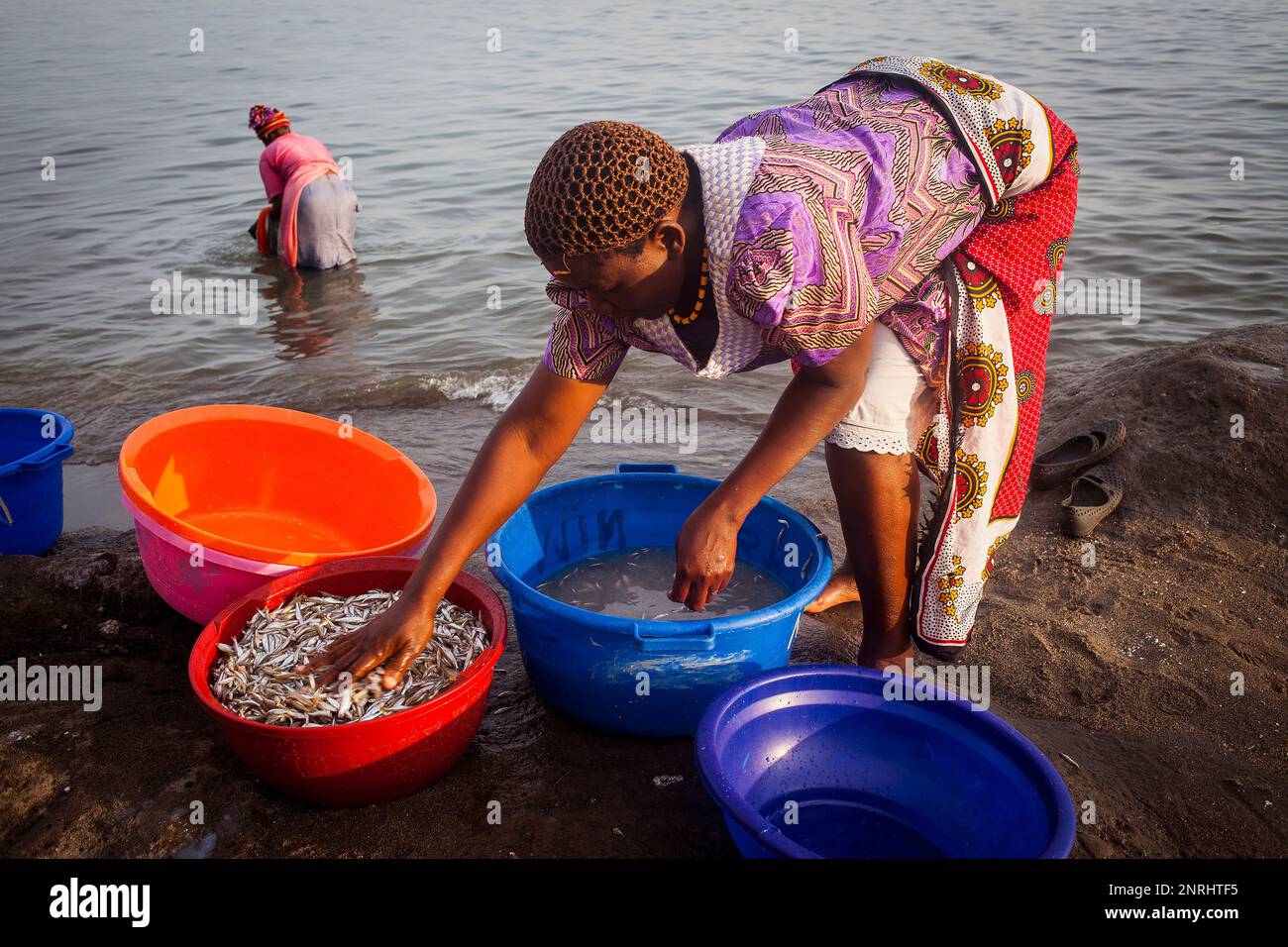 Woman washing fish, port, the fishing village of Litari, Rusinga Island ...
