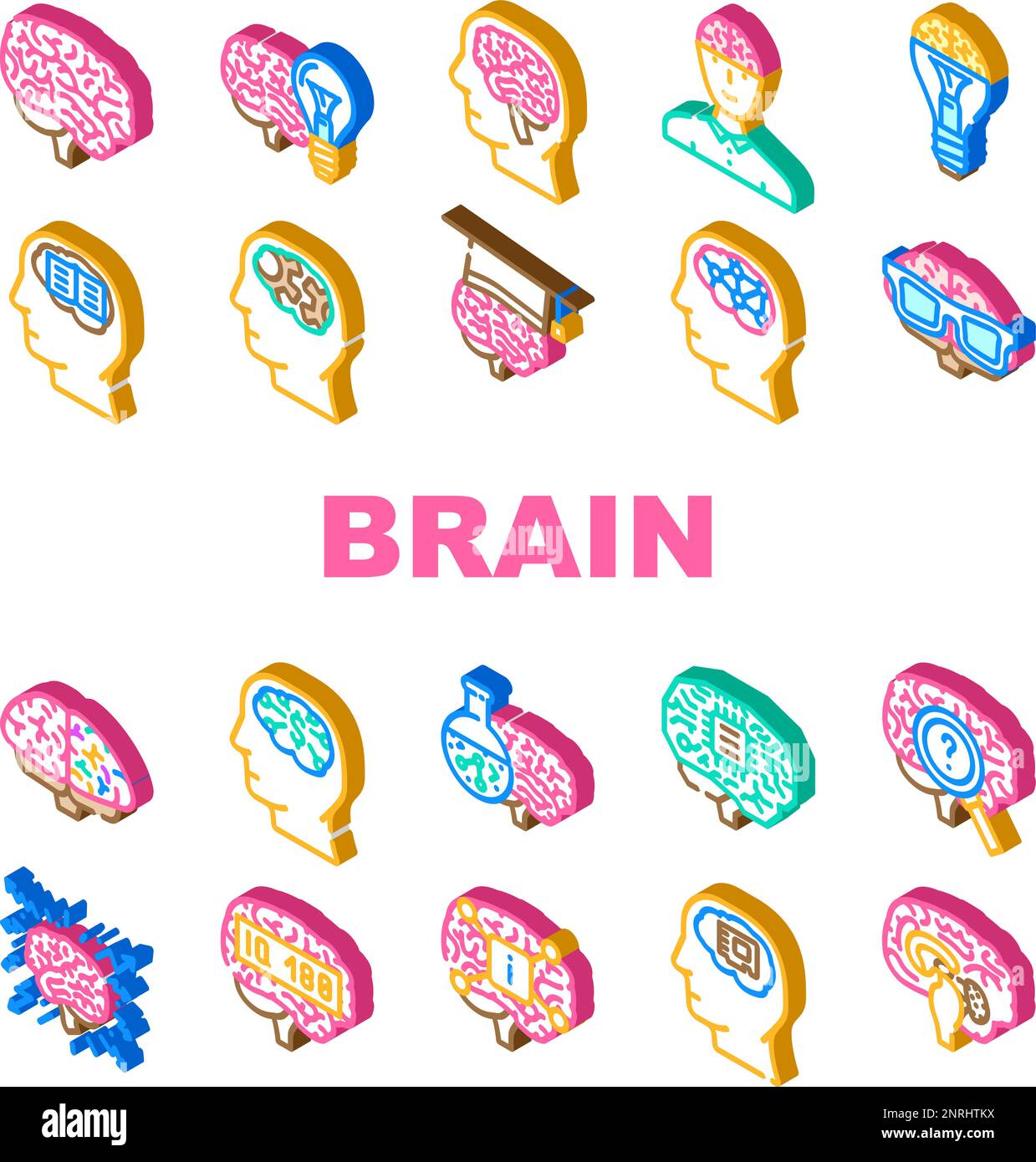 Human brain anatomy 3d illustrations hi-res stock photography and ...