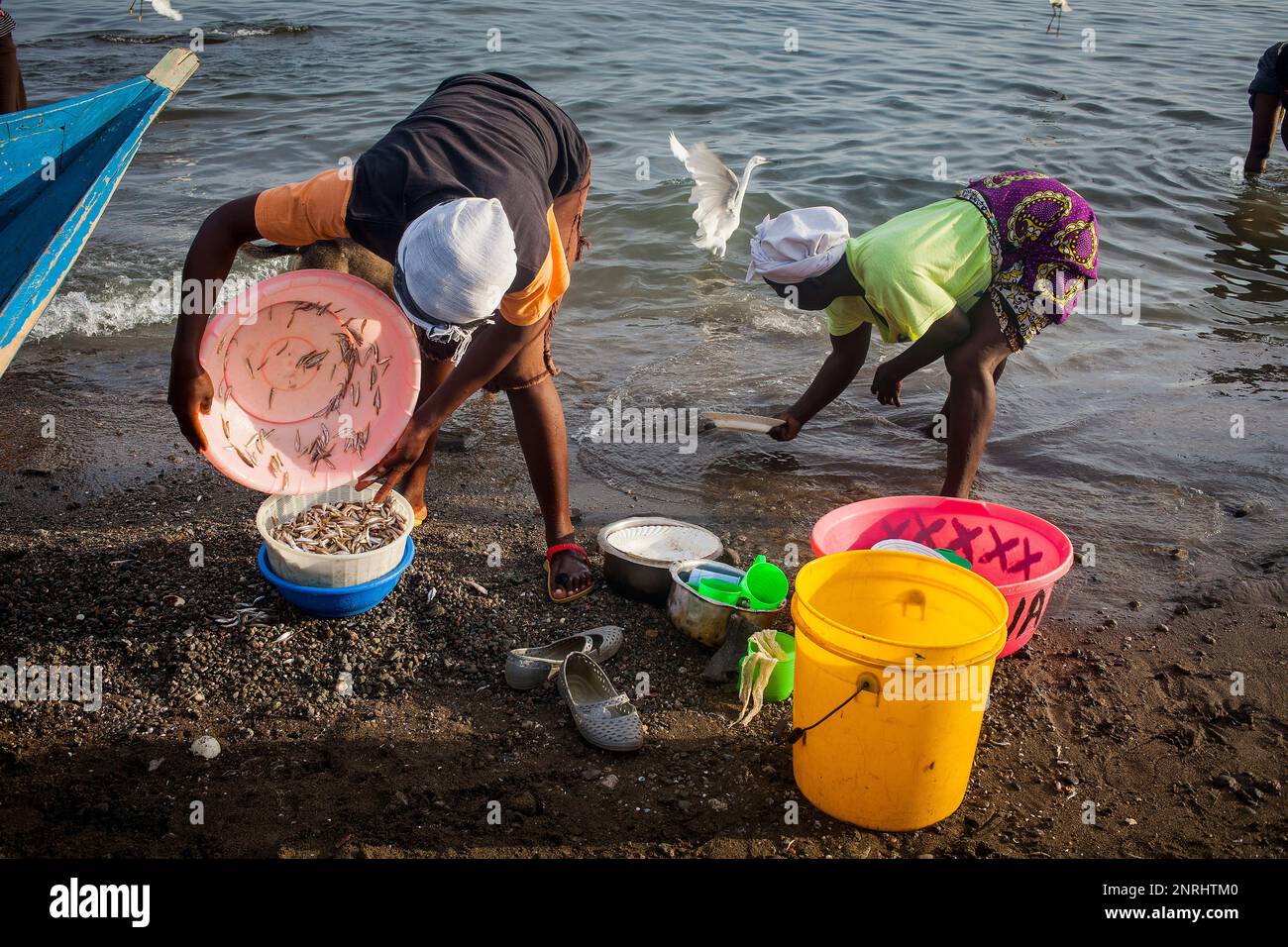 Women washing fish and kitchen tools , Port, the fishing village of ...