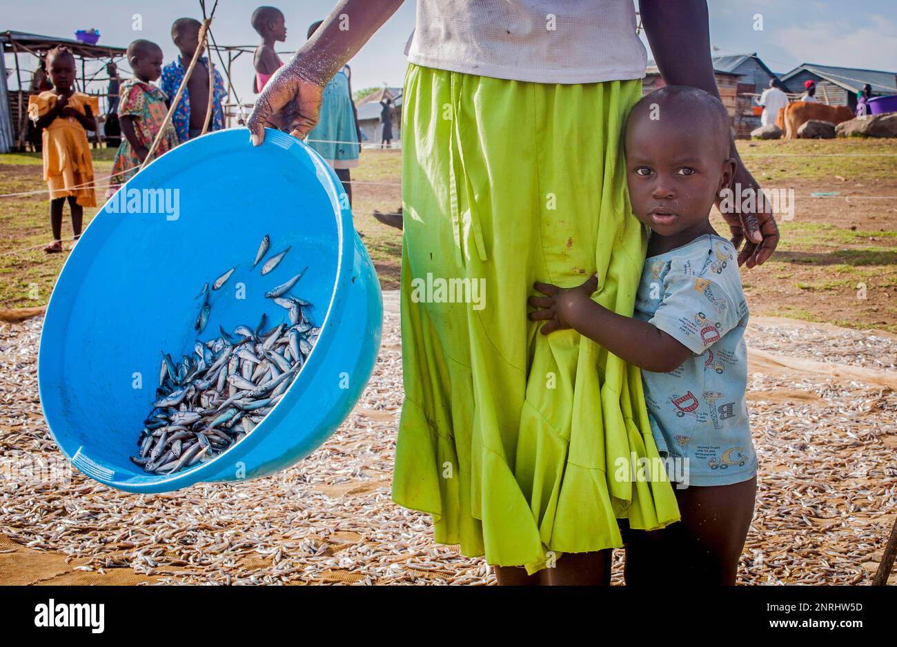 woman putting fish to dry and son, the fishing village of Litari ...