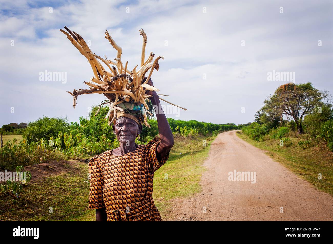 woman carrying wood, near the fishing village of Kolunga, Rusinga ...