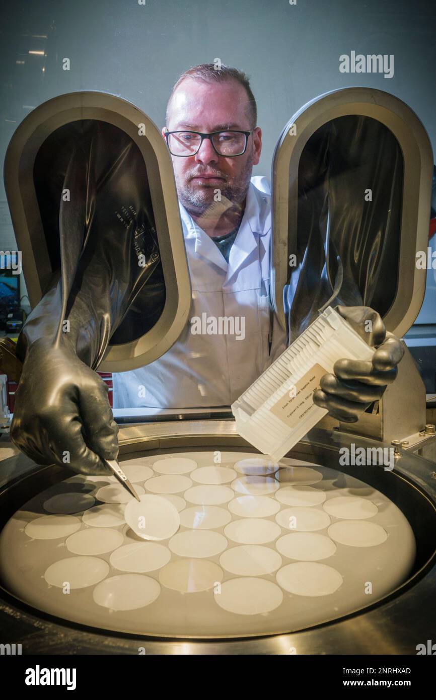 Wafer chips being loaded into a metal organic chemical vapour ...
