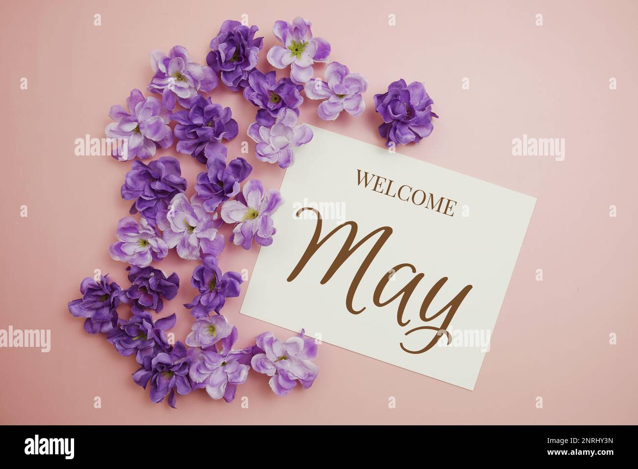 Welcome May card typography text with flower bouquet on pink background ...