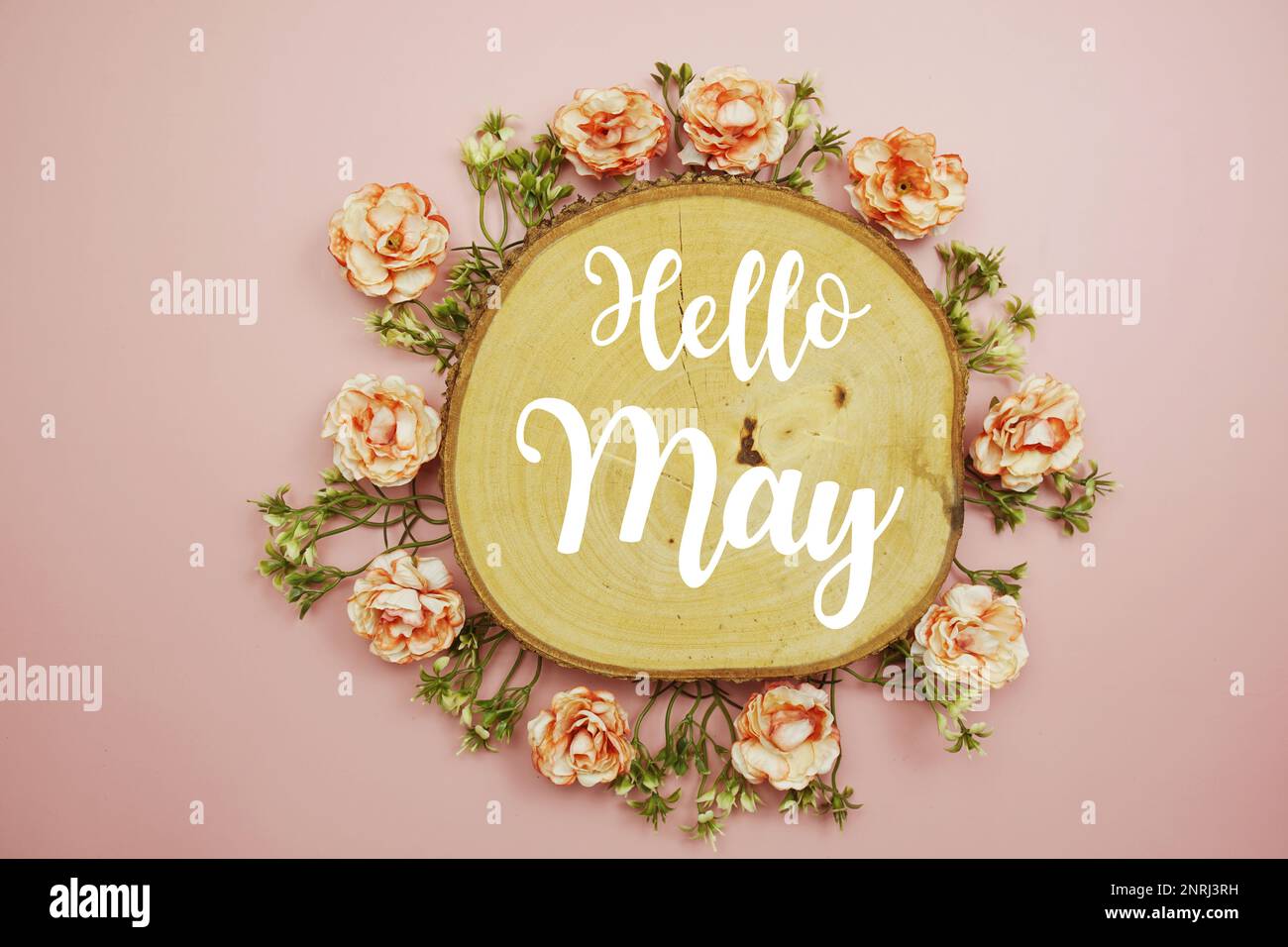 Hello May typography text decorate with flower on pink background Stock ...