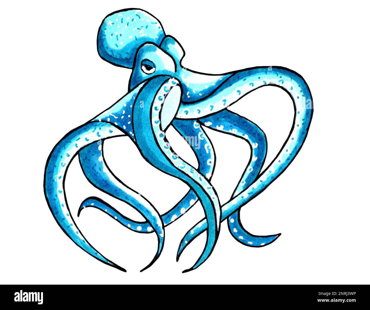 Octopus is aqua color with white speckled. JPEG illustration marine ...