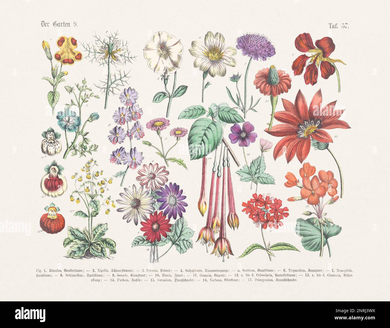 Antique garden chart hi-res stock photography and images - Alamy