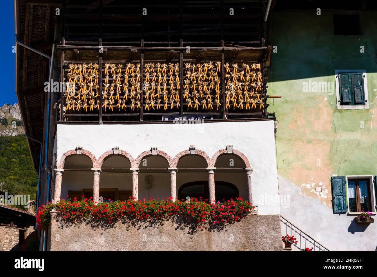 Facade of a traditional farmhouse with balcony, flowers and drying corn ...