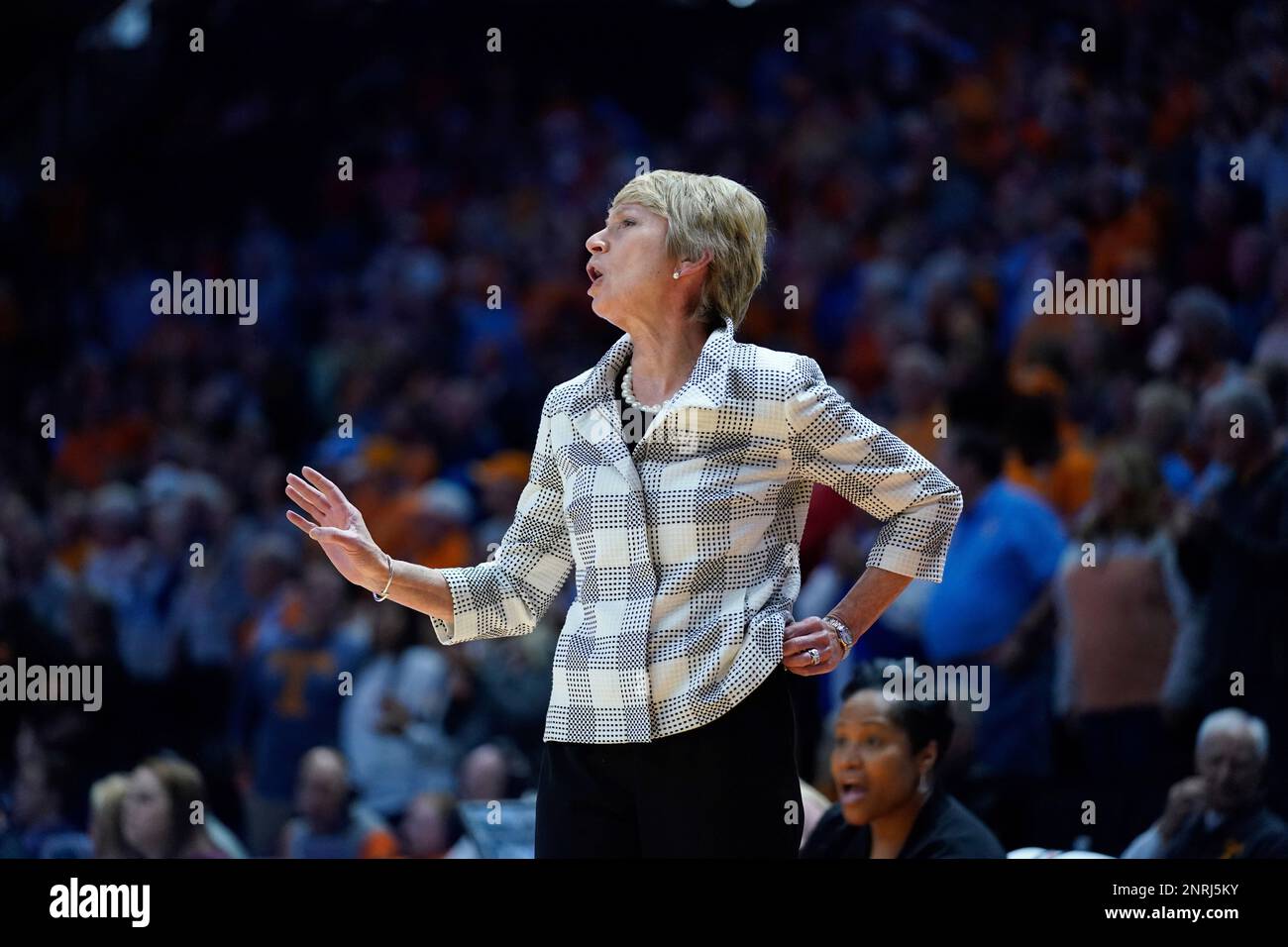 December 1, 2019: head coach Chris Gobrecht of the Air Force Falcons ...