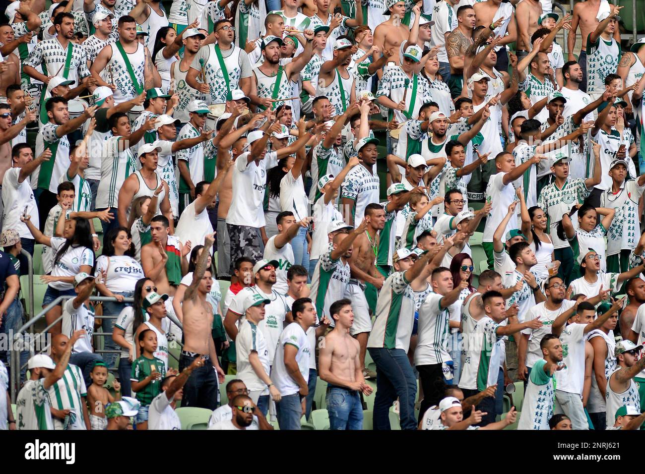 SP - Sao Paulo - 12/01/2019 - Brazilian A 2019, Palmeiras vs Flamengo ...