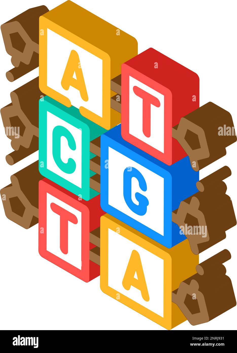 gene molecular structure isometric icon vector illustration Stock ...