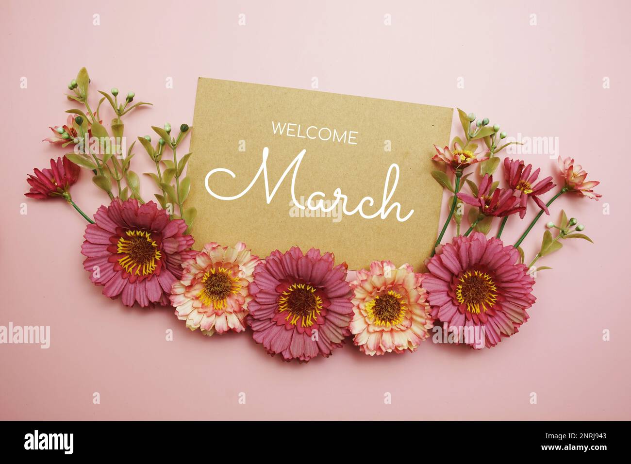 Welcome March typography text with flowers on pink background Stock ...