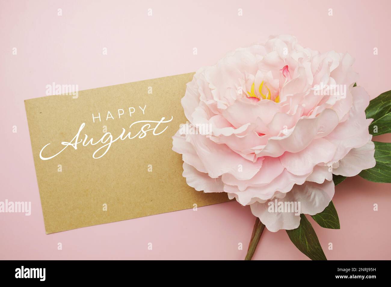 Happy August typography text with flowers on pink background Stock ...