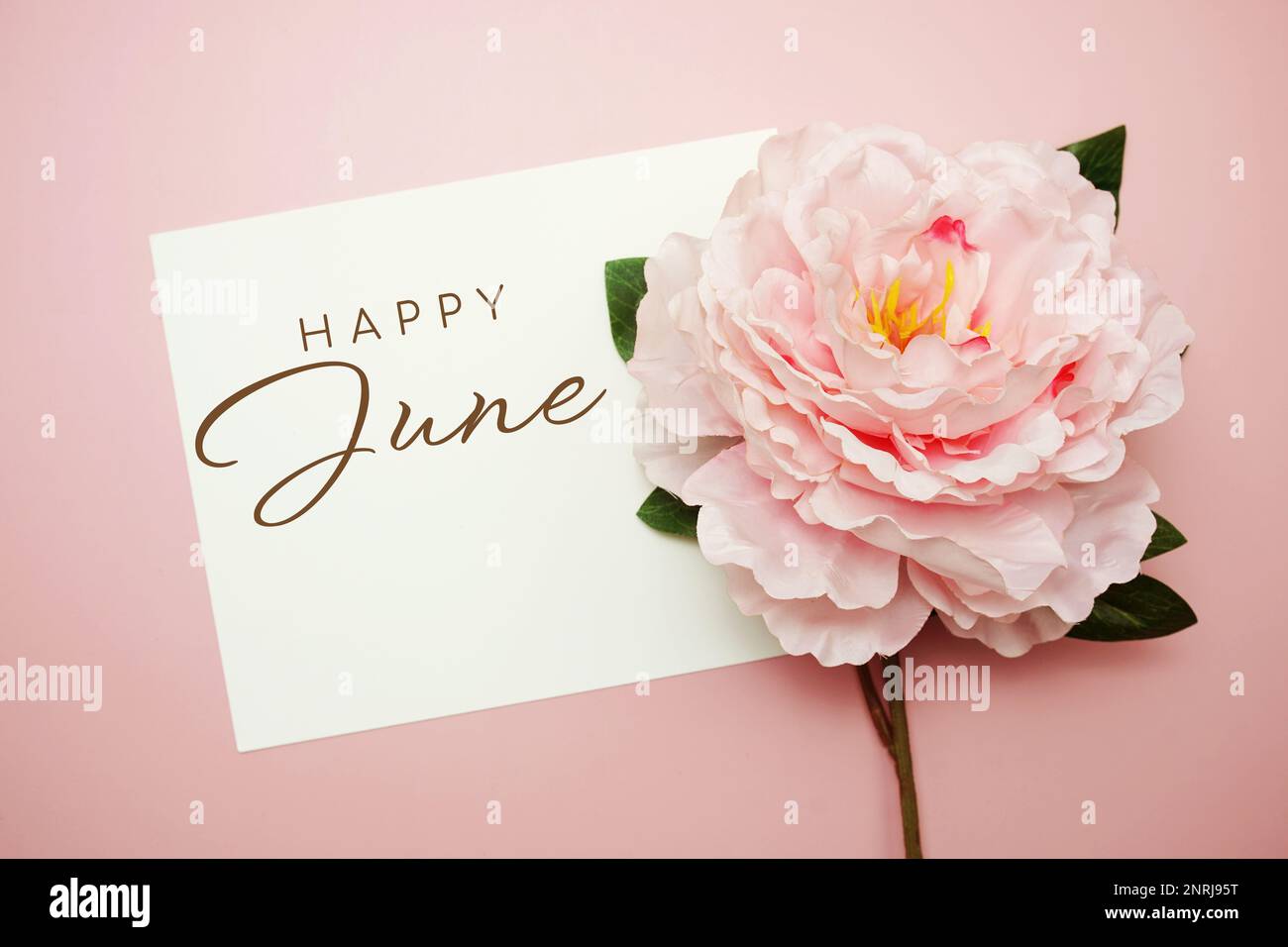 Happy June typography text with flowers on pink background Stock Photo ...