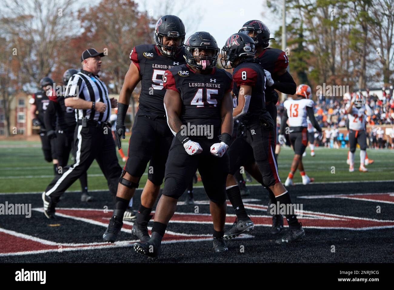 Lenoir Rhyne Bears running back Ameen Stevens (45) celebrates after ...