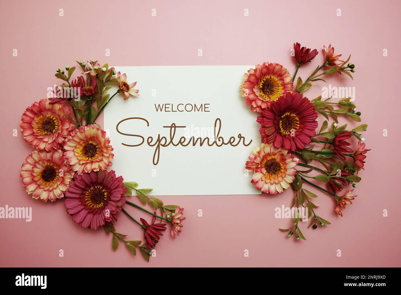 Welcome card with colorful flowers hi-res stock photography and images ...