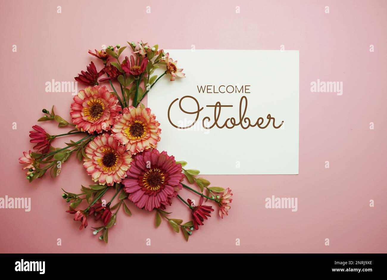 Welcome October typography text with flowers on pink background Stock ...