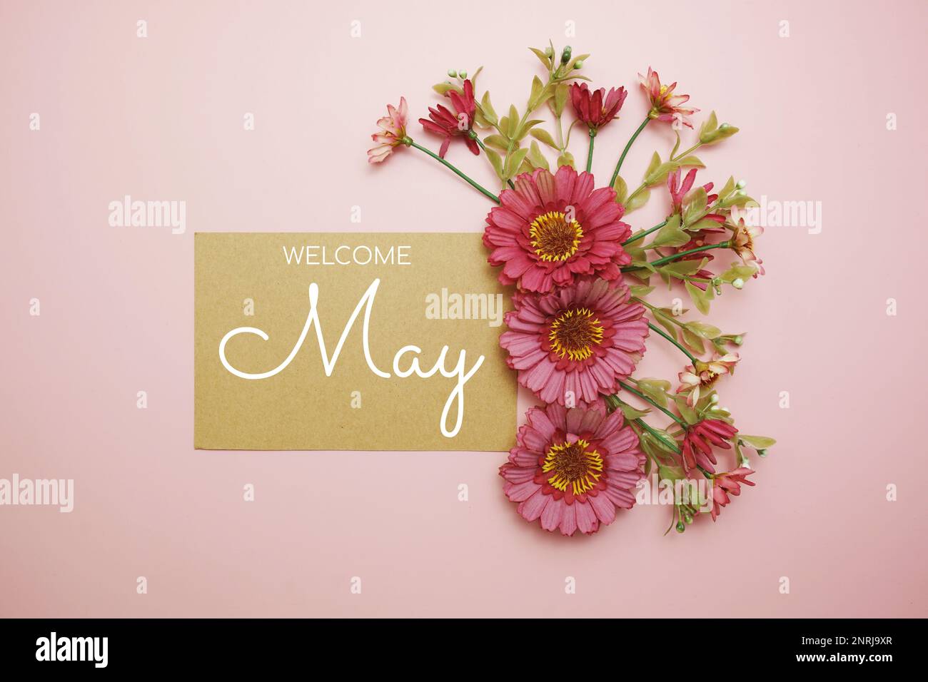 Welcome May typography text with flowers on pink background Stock Photo ...