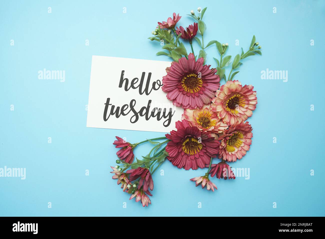 Good morning daisy hi-res stock photography and images - Alamy
