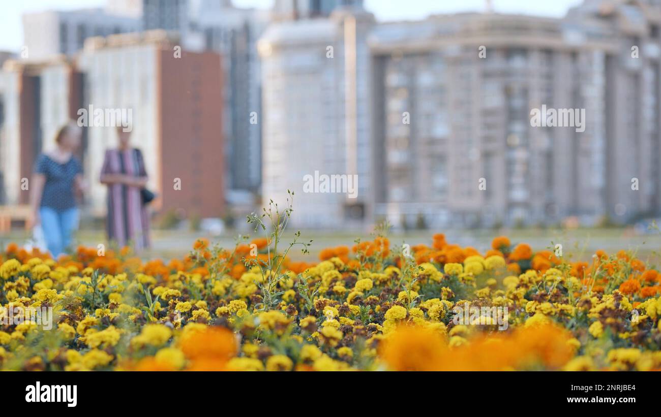 People stroll through the city among the flower beds Stock Photo - Alamy