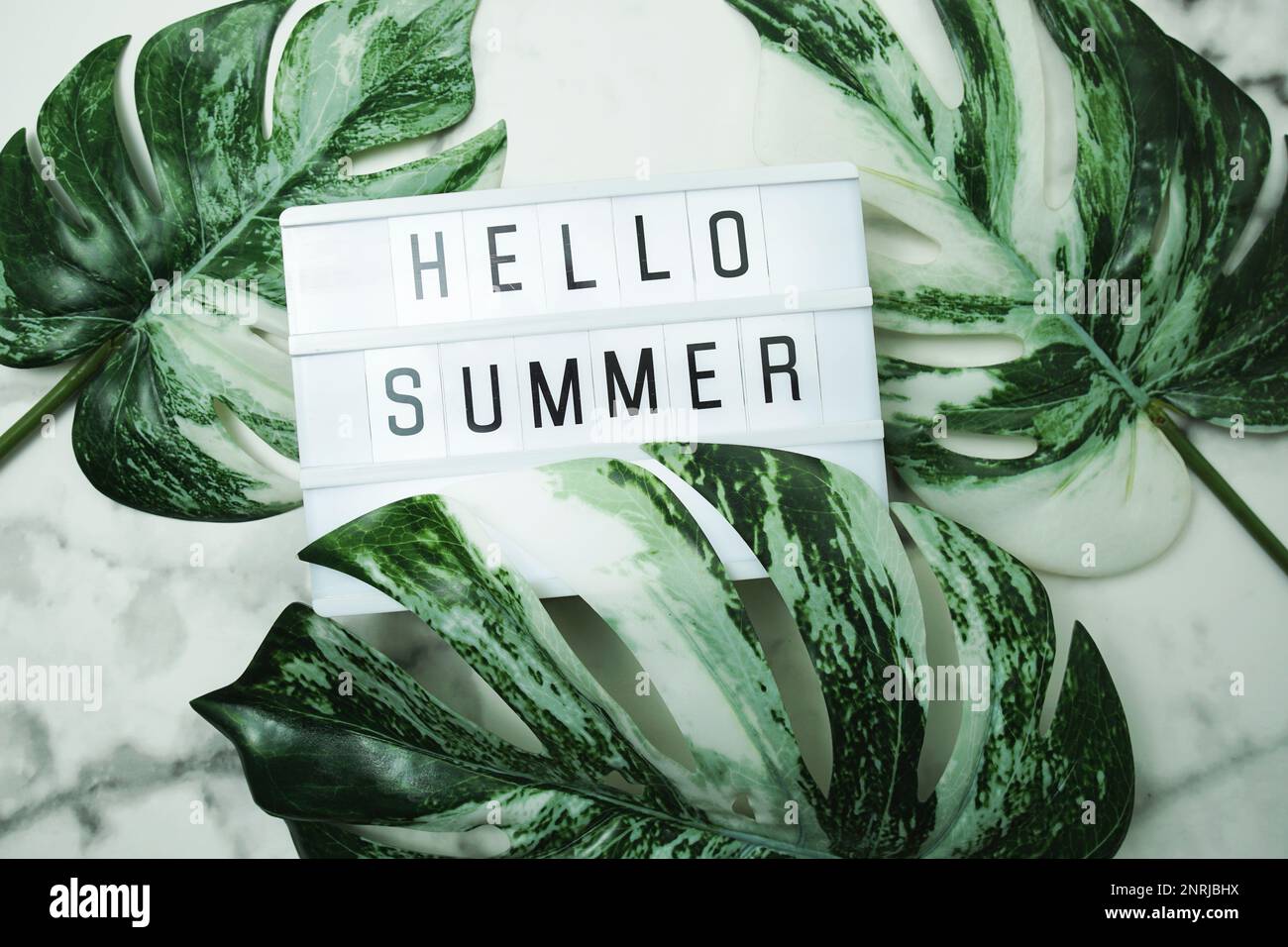 Hello Summer word in lightbox with Monstera Leaves on marble background ...