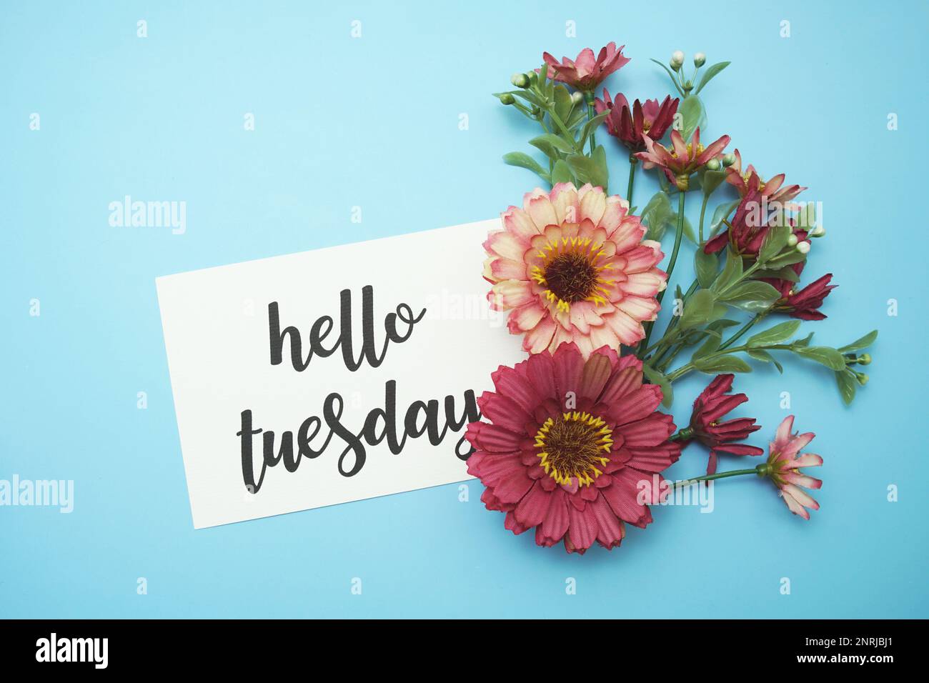 Good morning daisy hi-res stock photography and images - Alamy