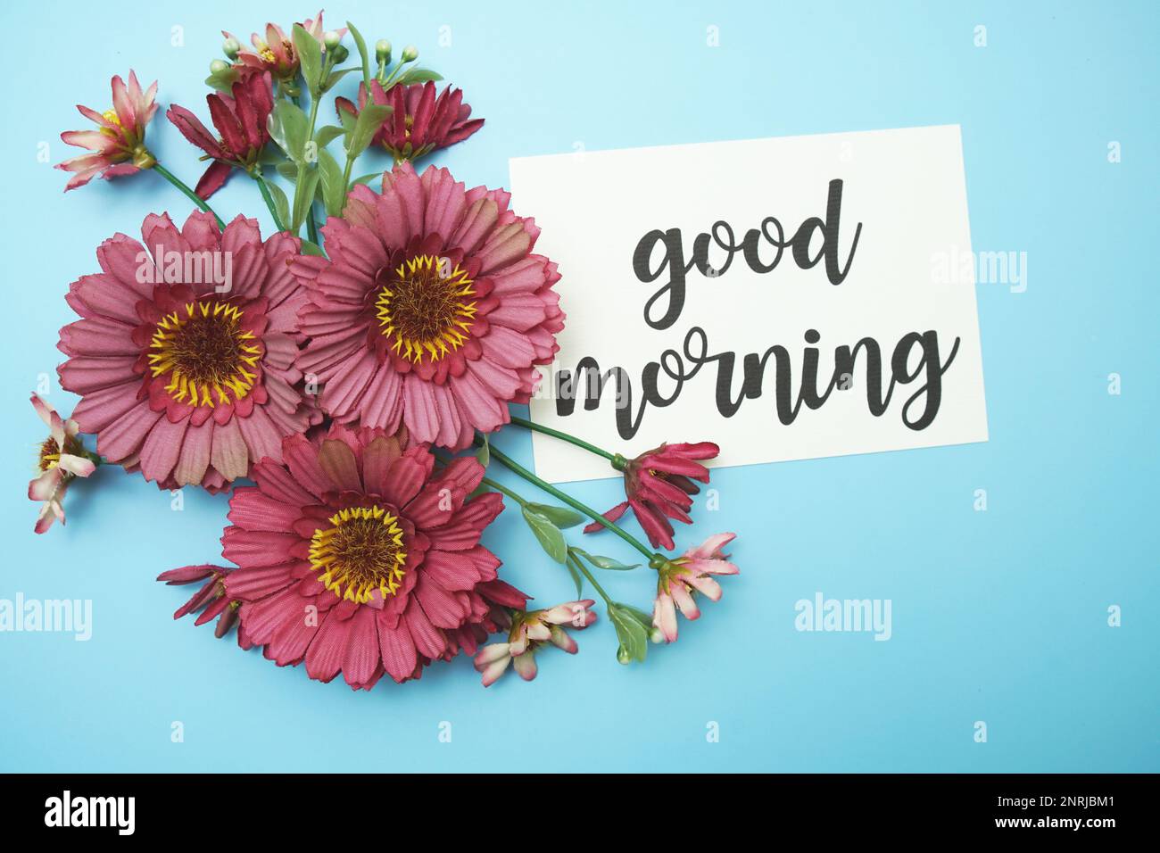 Good Morning typography text with daisy flowers on blue background ...