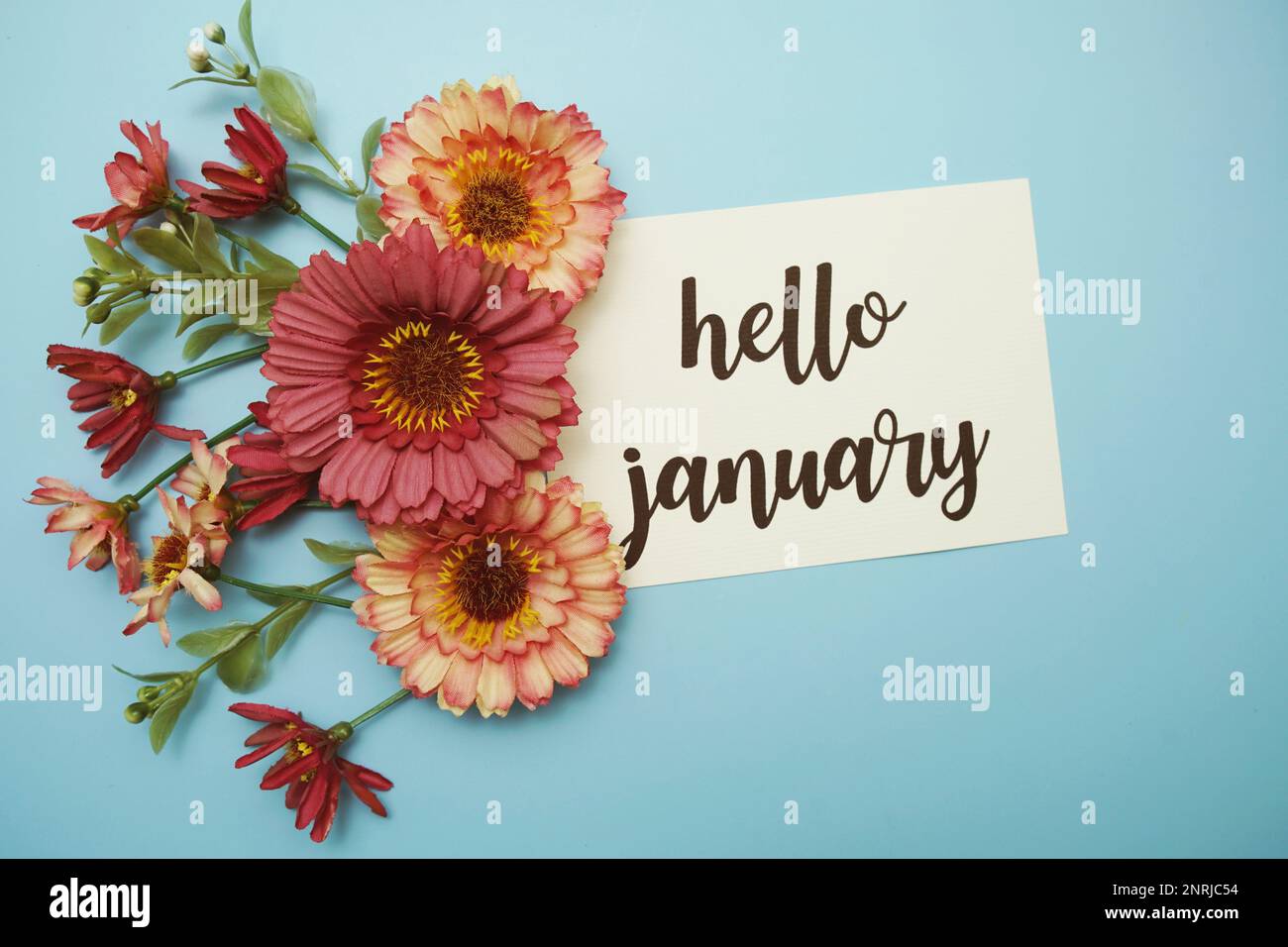 Hello January typography text with daisy flowers on blue background ...