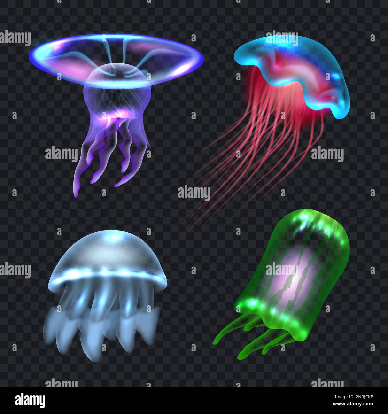 Jellyfish. Colored underwater realistic transparent jelly animals ...