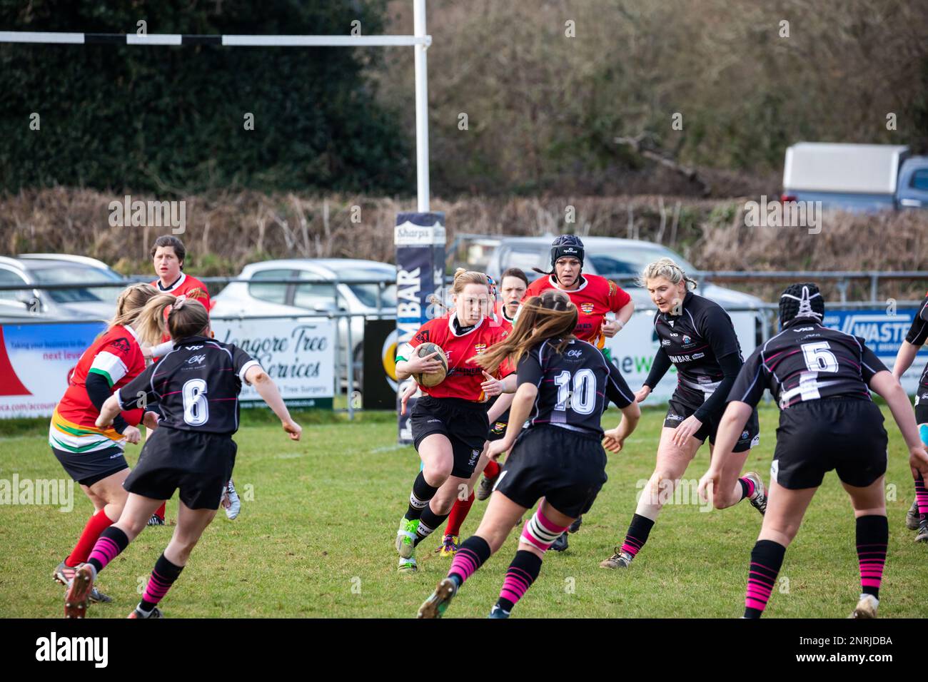 Camborne rfc hi-res stock photography and images - Alamy