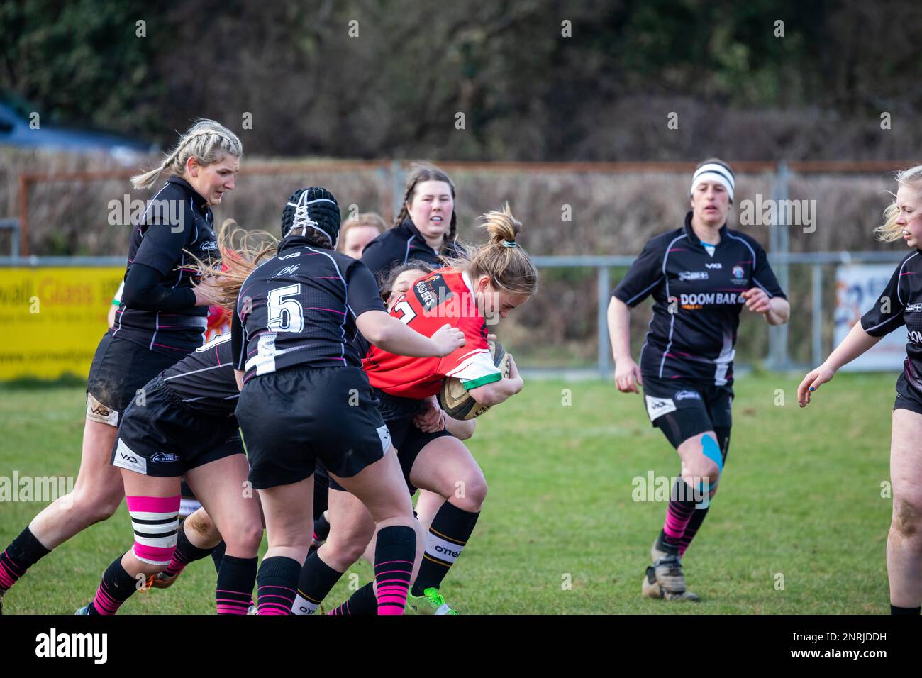 Camborne rfc hi-res stock photography and images - Alamy