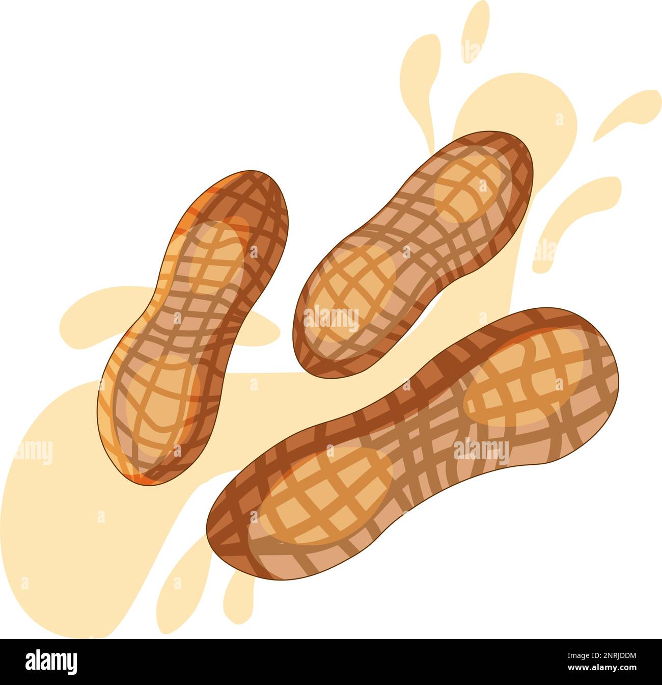 Peanut nuts in shell.Peanut butter logo Stock Vector Image & Art - Alamy