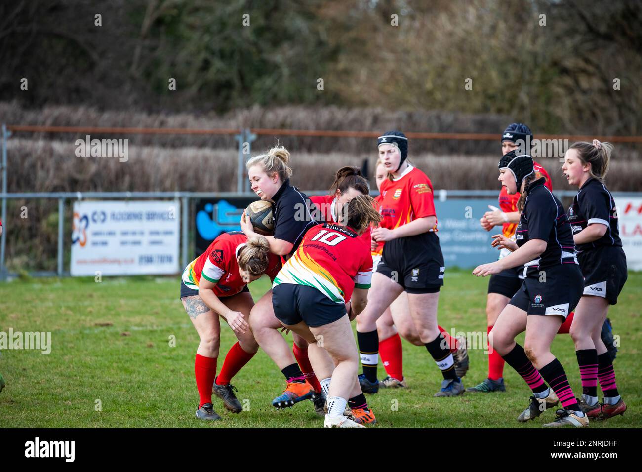 Camborne RFC play Cornish all blacks, Launceston 56/0 Stock Photo - Alamy
