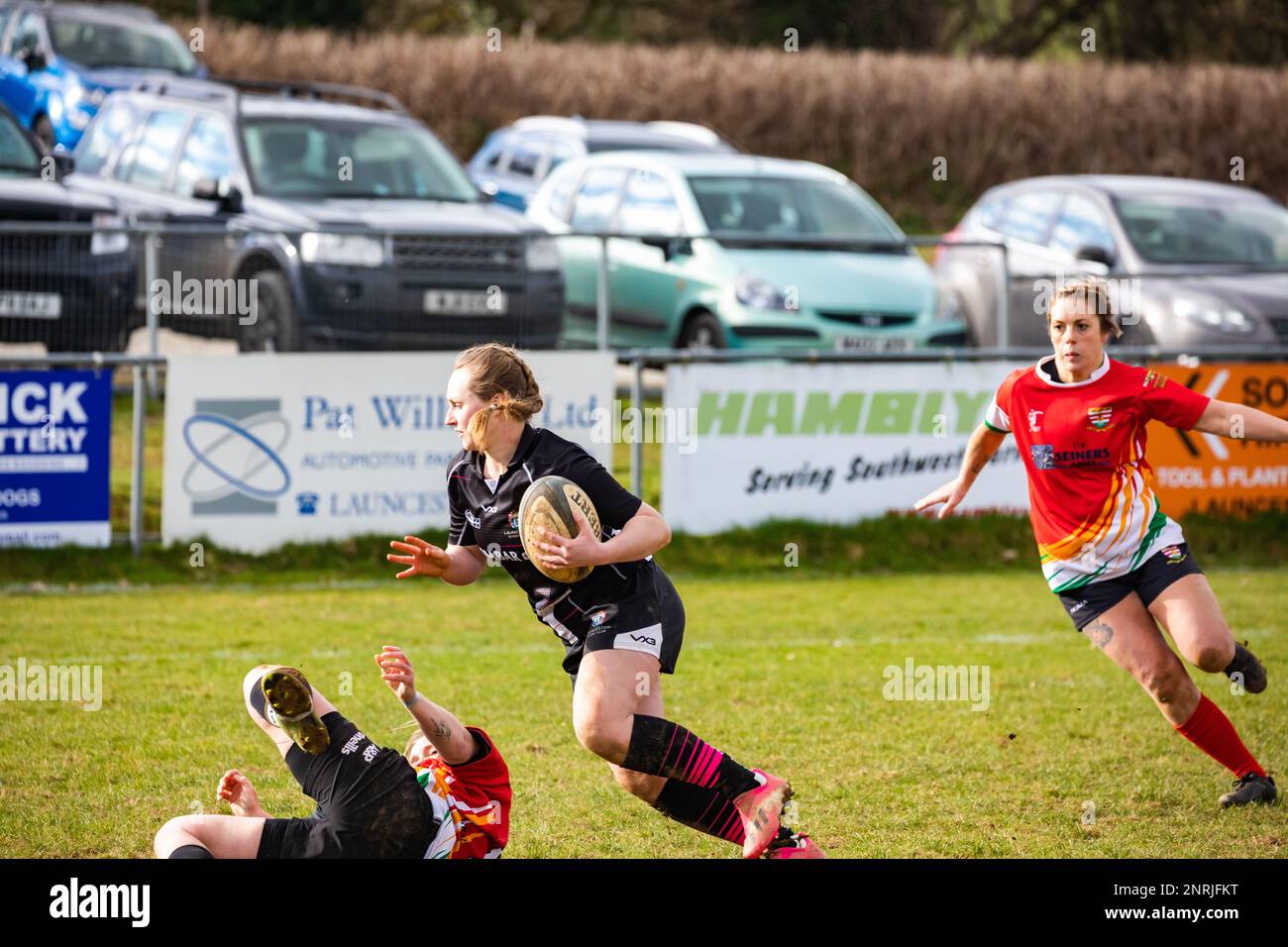 Camborne rfc hi-res stock photography and images - Alamy