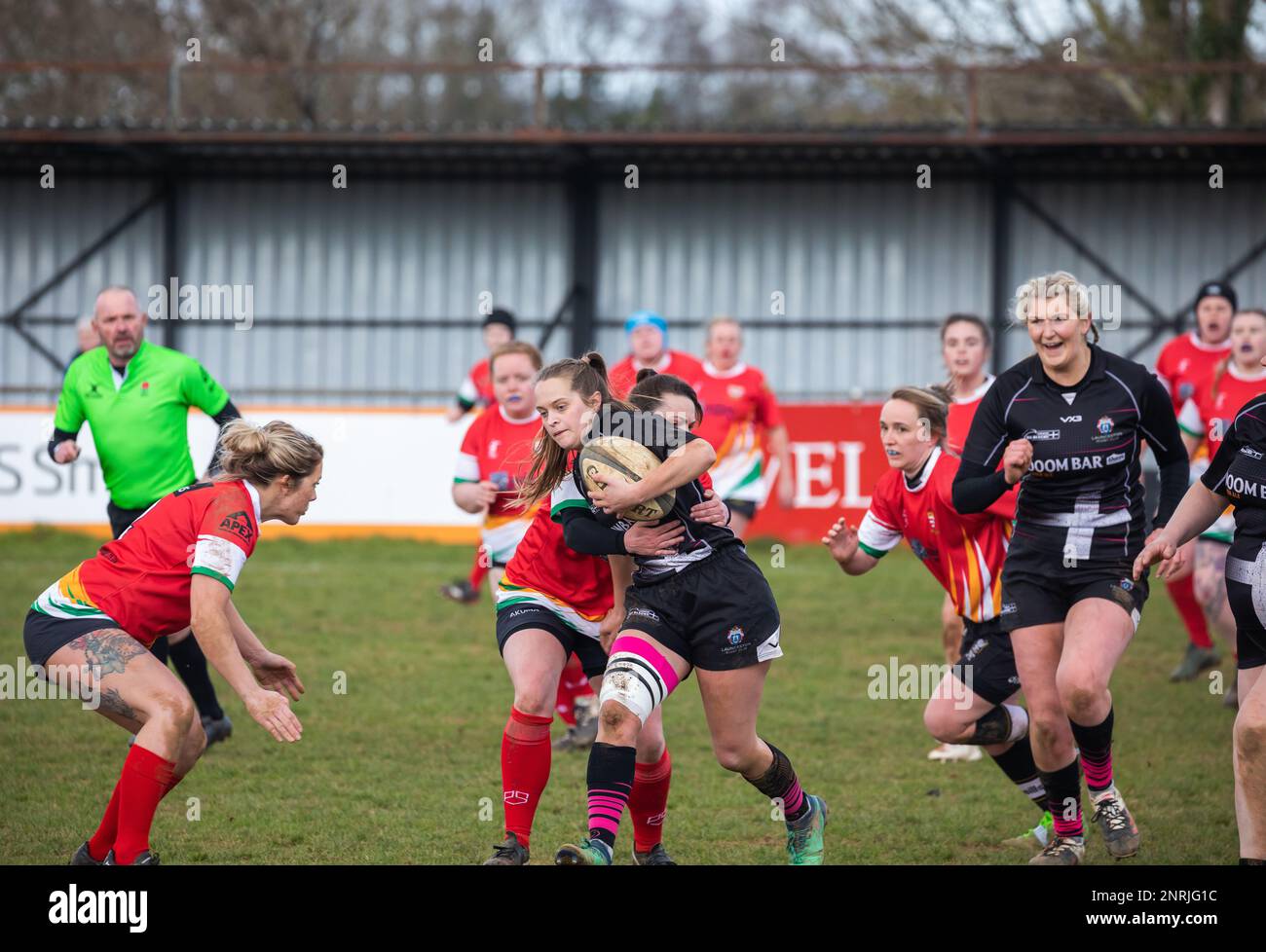 Camborne rfc hi-res stock photography and images - Alamy