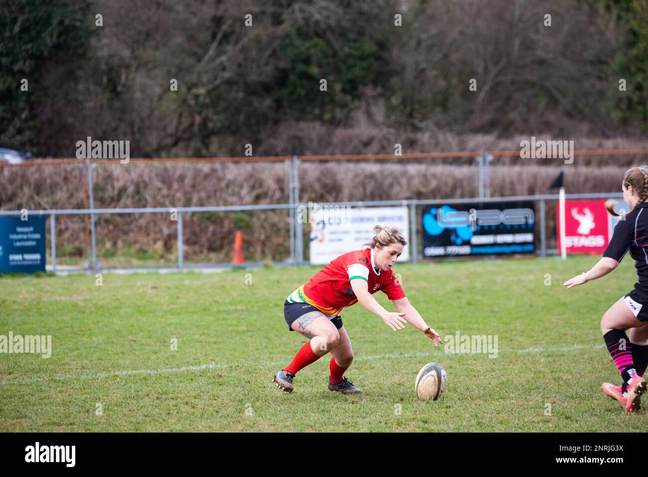 Camborne RFC play Cornish all blacks, Launceston 56/0 Stock Photo - Alamy