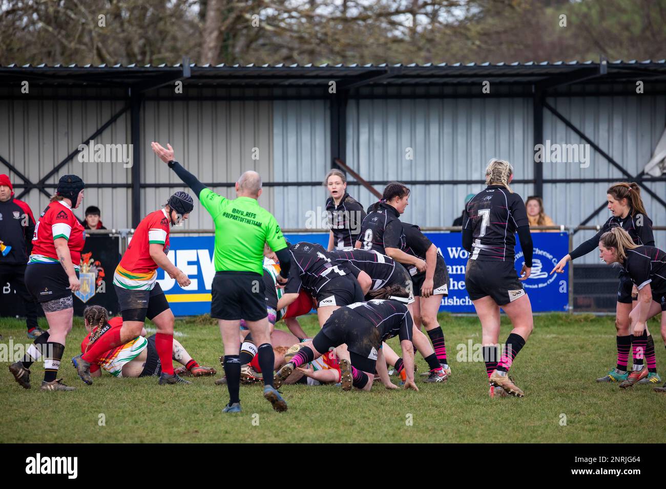 Camborne rfc hi-res stock photography and images - Alamy
