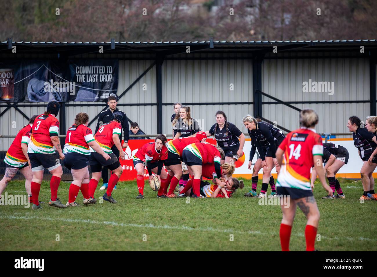 Camborne RFC play Cornish all blacks, Launceston 56/0 Stock Photo - Alamy