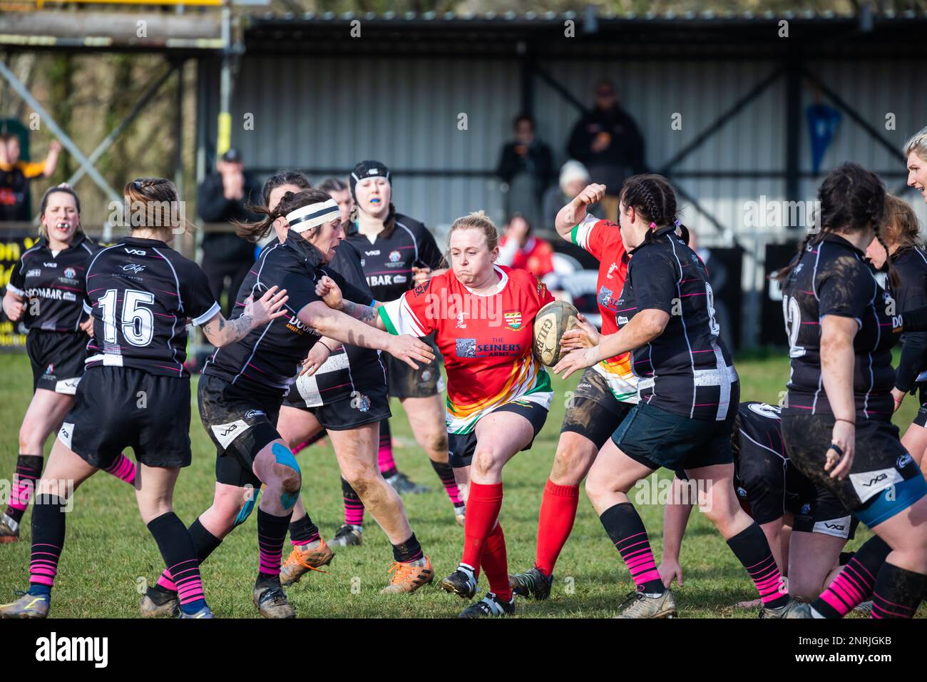 Camborne rfc hi-res stock photography and images - Alamy