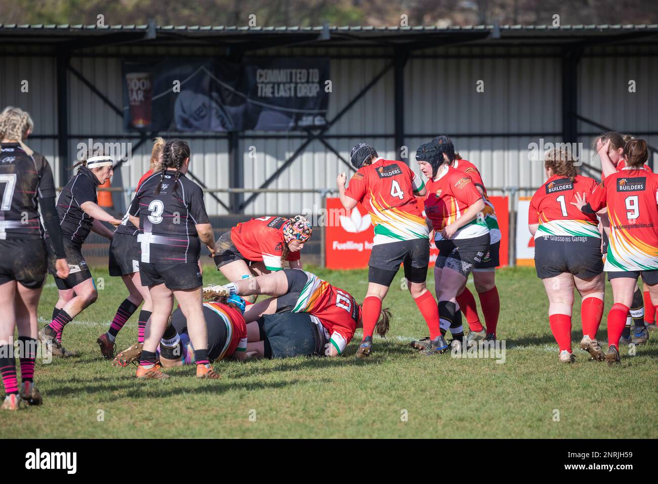 Camborne rfc hi-res stock photography and images - Alamy