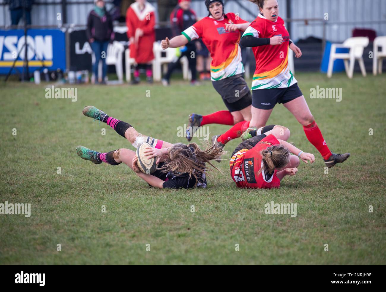 Launceston rfc hi-res stock photography and images - Alamy
