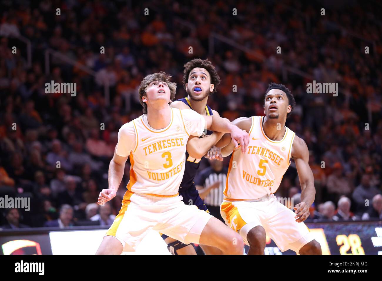 KNOXVILLE, TN - NOVEMBER 25: Tennessee Volunteers forward Drew Pember ...