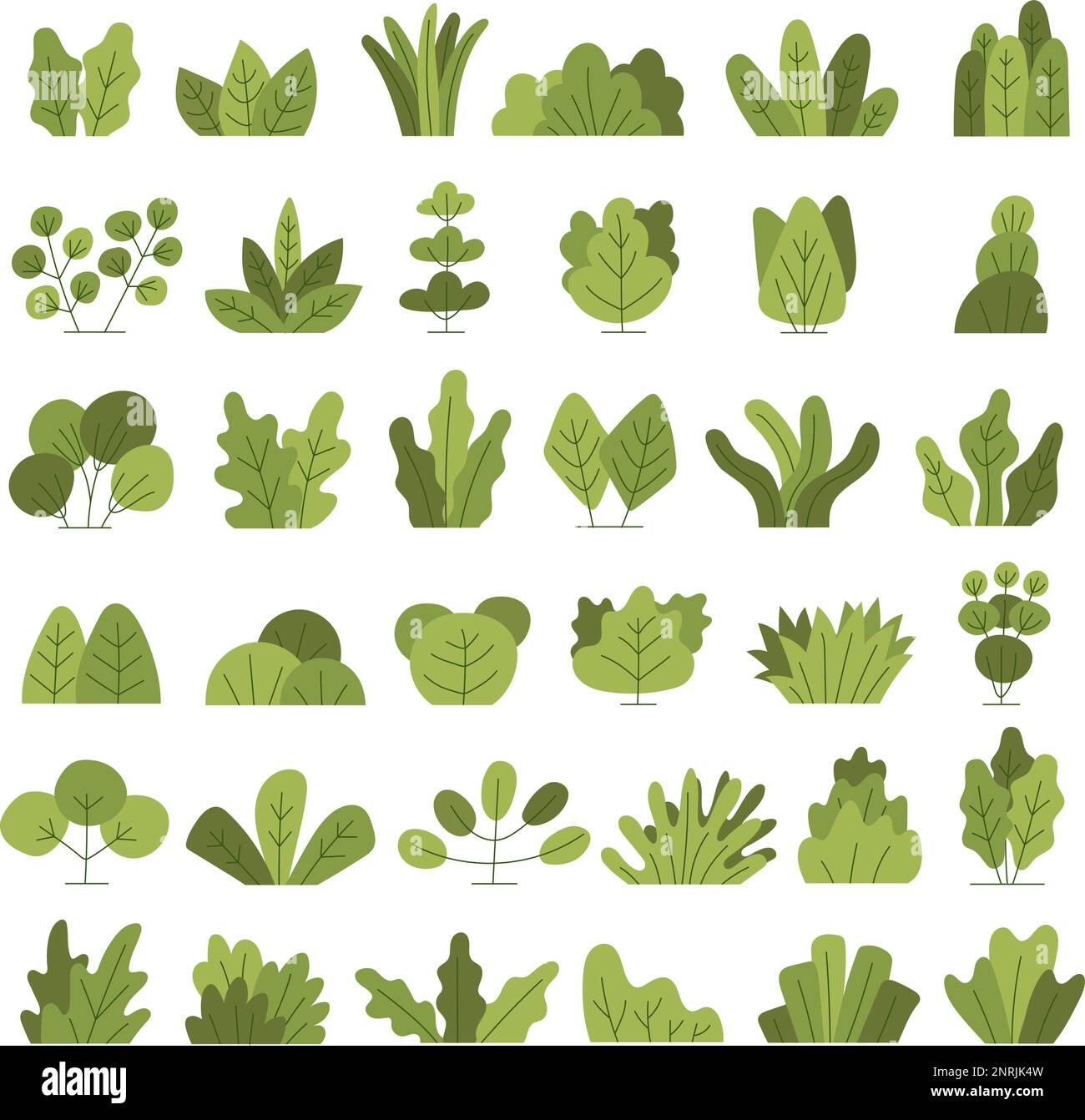 Bushes Leaves Grass Trees Recent Vector Gardening Illustrations