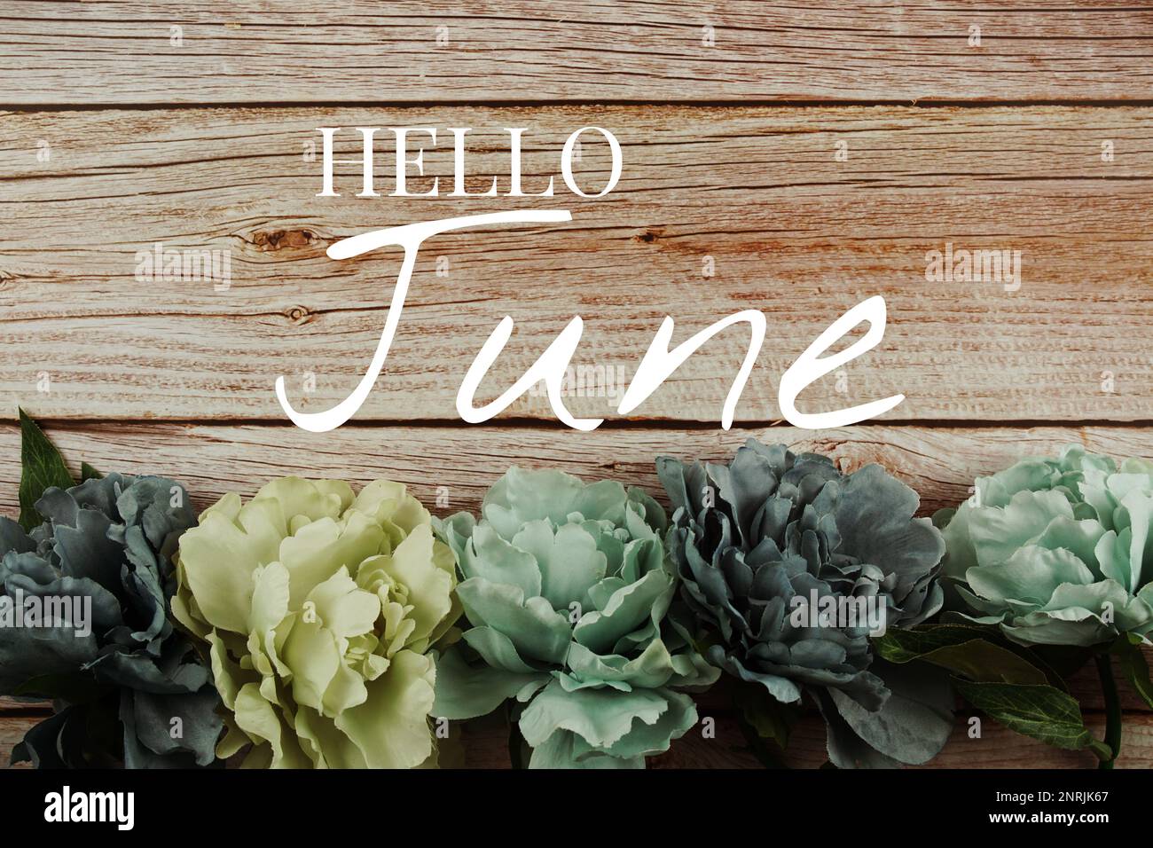 Hello June typography text with blue flowers bouquet on wooden ...
