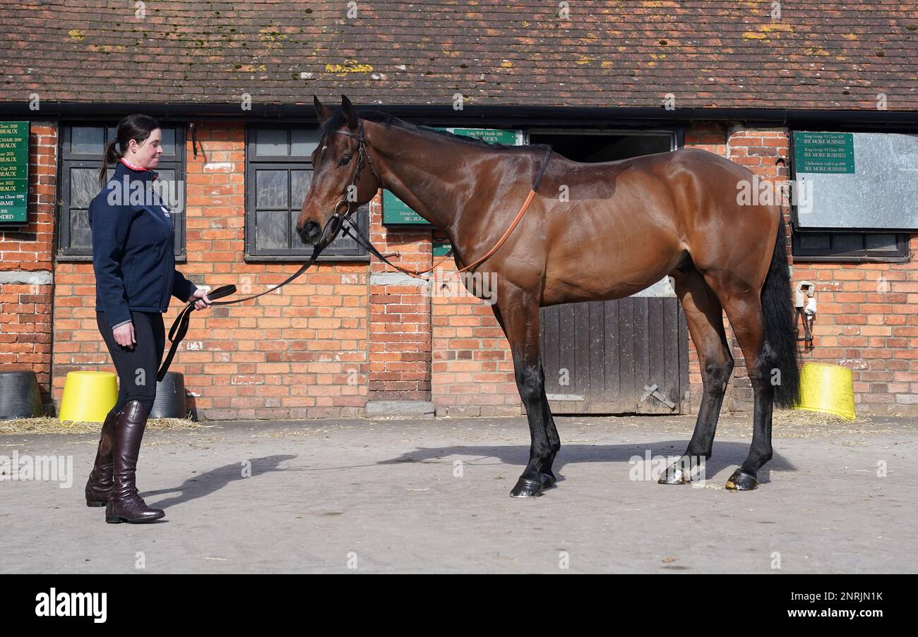 Afadil with a stable hand during a visit to Manor Farm Stables ...