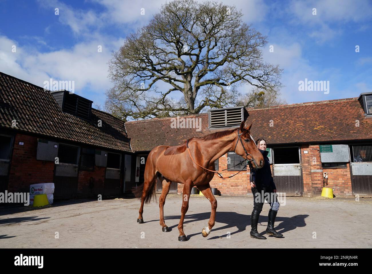 Captain Teague with a stable hand during a visit to Manor Farm Stables ...