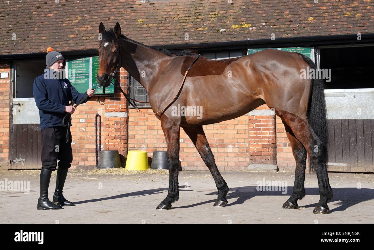 Stage Star with a stable hand during a visit to Manor Farm Stables ...