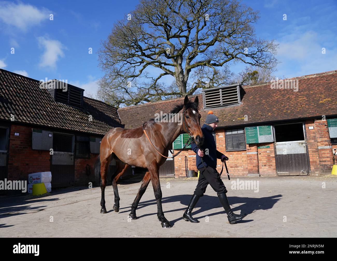 Stage Star with a stable hand during a visit to Manor Farm Stables ...