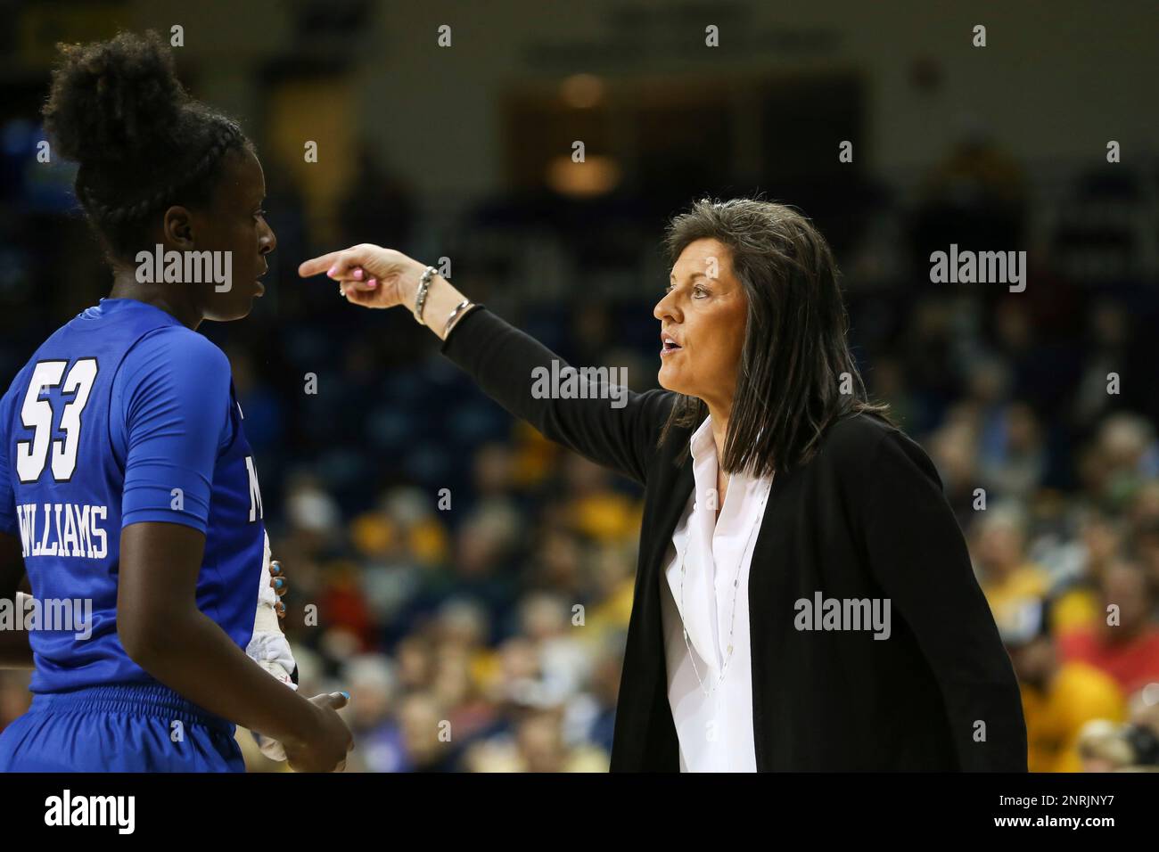 TOLEDO, OH - NOVEMBER 24: Memphis Tigers head coach Melissa McFerrin ...