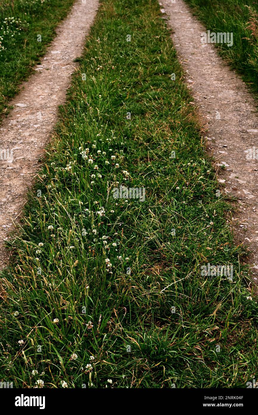 Farm dirt road through a field Stock Photo - Alamy